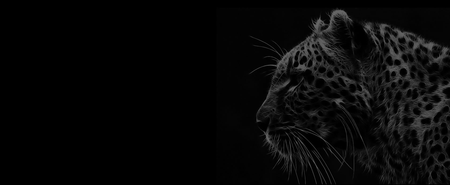 Clients - Outlaw Engineering